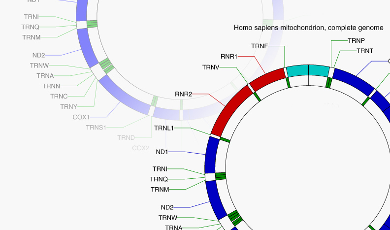 Bioinformatics Toolbox | FİGES A.Ş