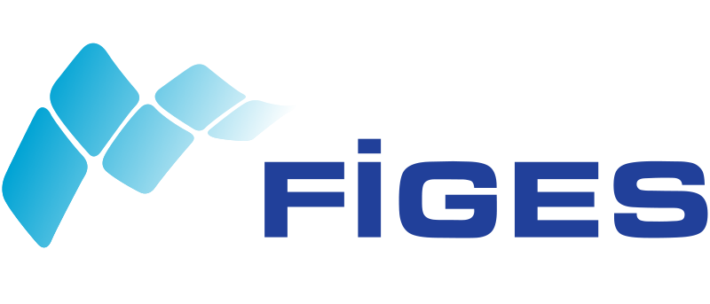 FİGES A.Ş. - FİGES A.Ş.